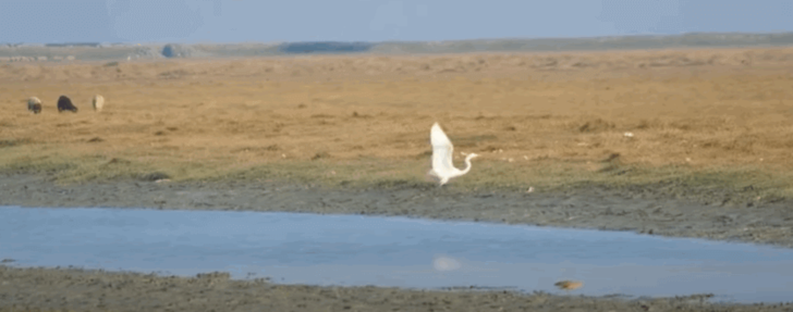 Sandwip Island With Beautiful landscape At Chattogram