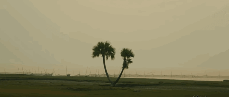 Sandwip Island With Beautiful landscape At Chattogram