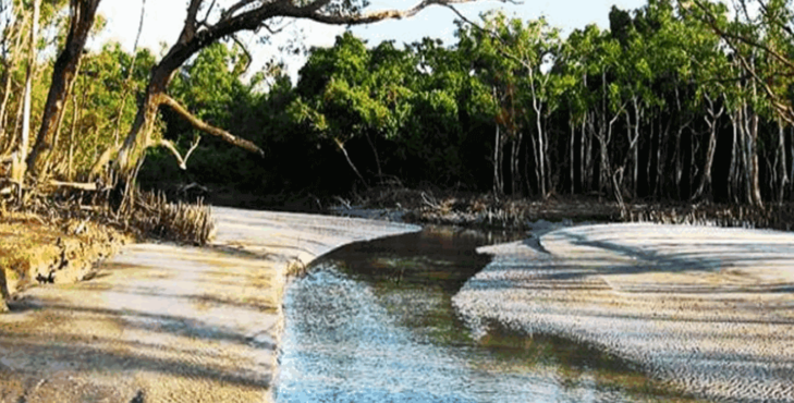 Dublar Char At Bagerhat