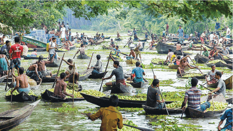 Floating Guava Market An Extraordinary Market At Pirojpur
