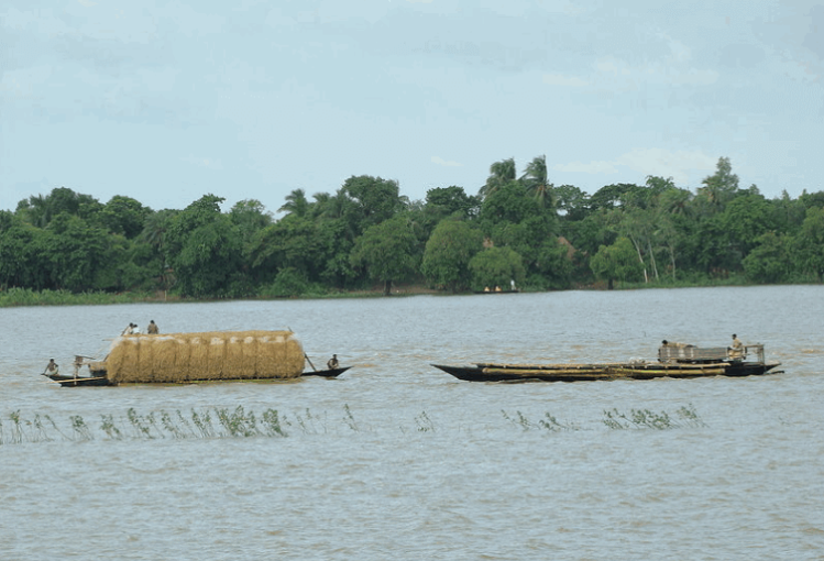 Chalan Beel A Beautiful Beel At Pabna