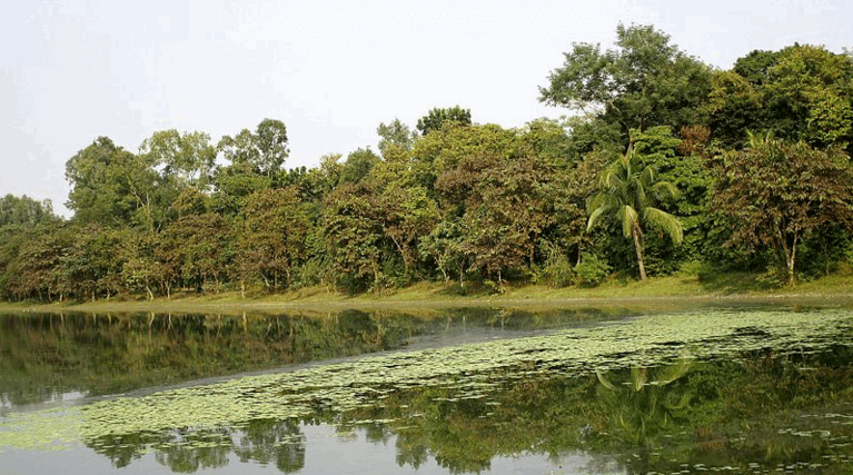 Ramsagar Dighi A Beautiful Historical Lake At Dinajpur